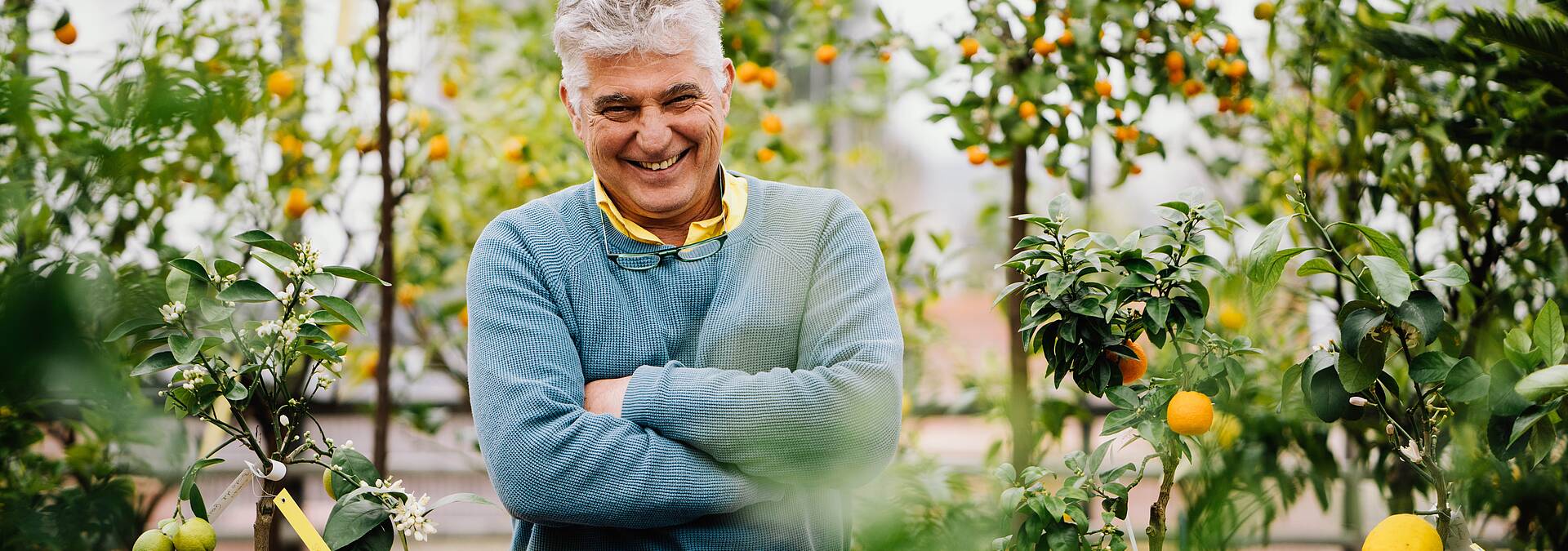 Zitrusgarten in Faak am See